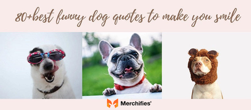 80+ Best Funny Dog Quotes To Make You Smile | Merchifies